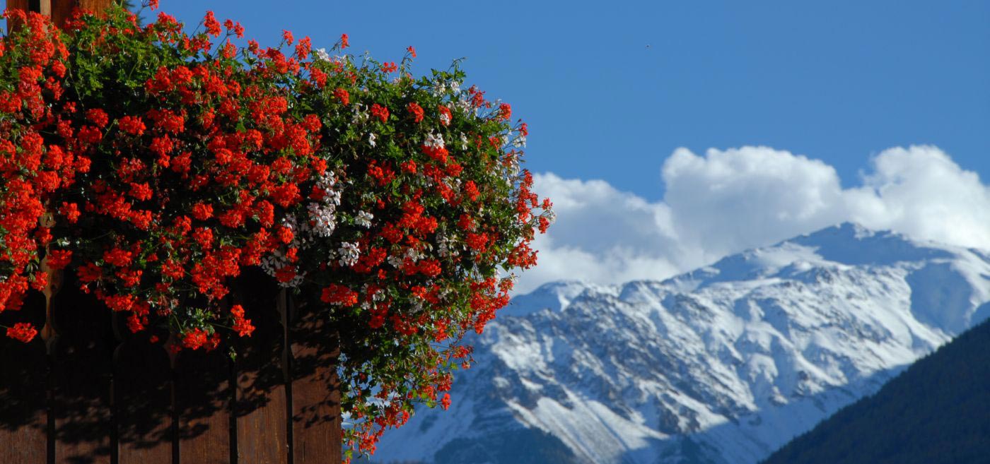 Bio hotel South Tyrol, Bio Landhotel Anna Val Venosta, Italy